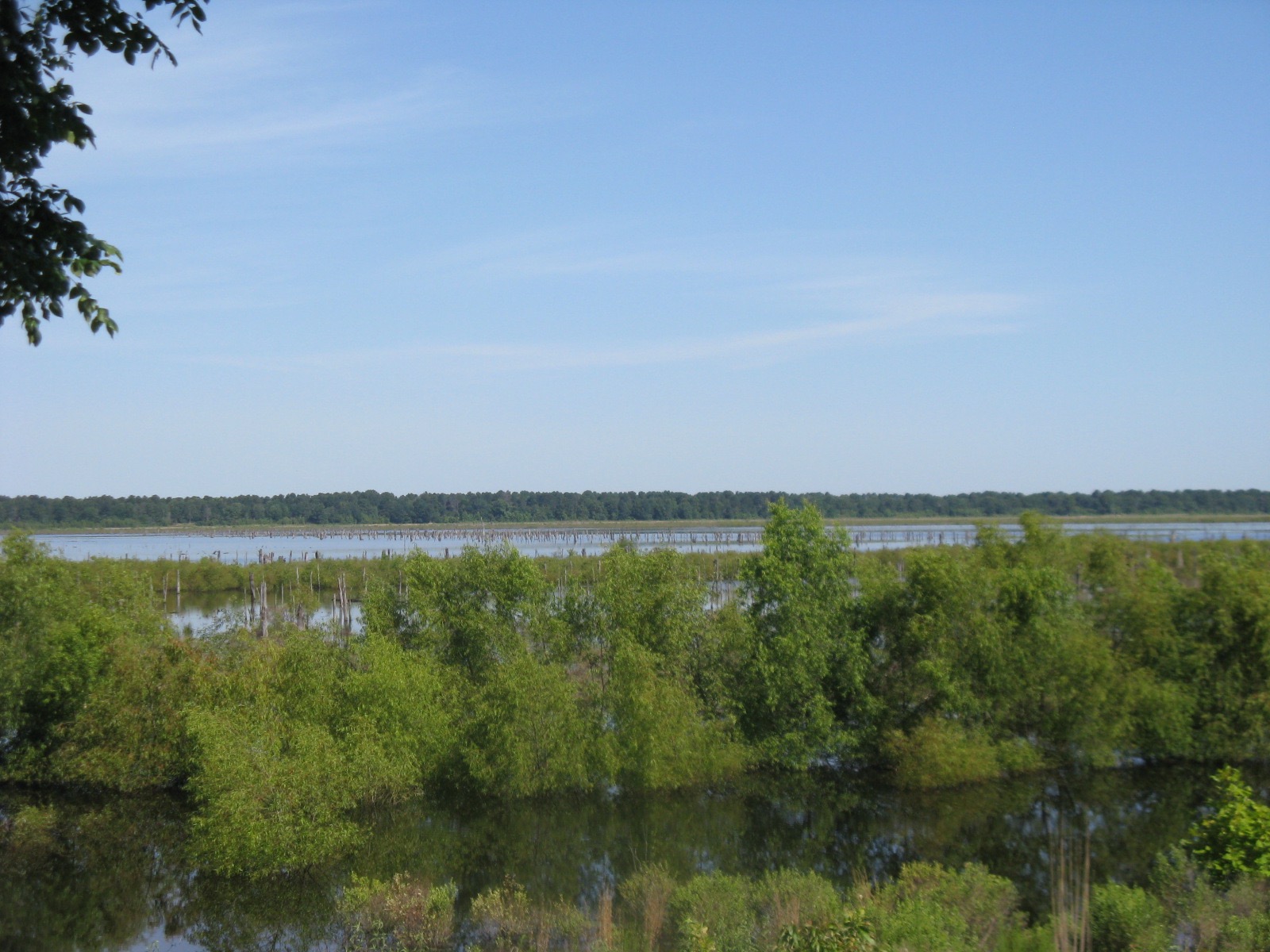 LDWF to explain Bussey plan | lake darbonne life